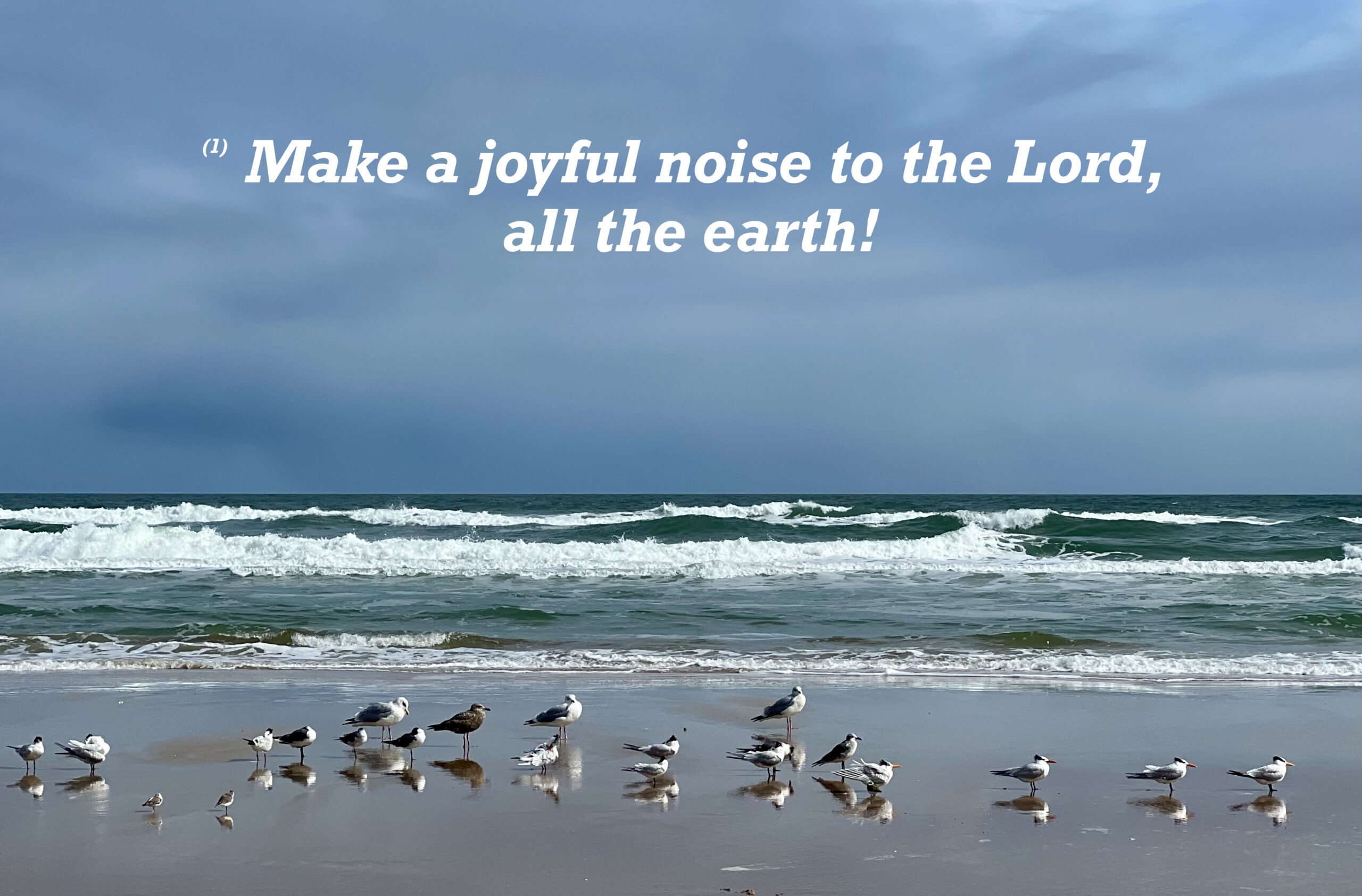 Psalm 100 - A Song of Thanksgiving - Photos and Inspiration from God's Word